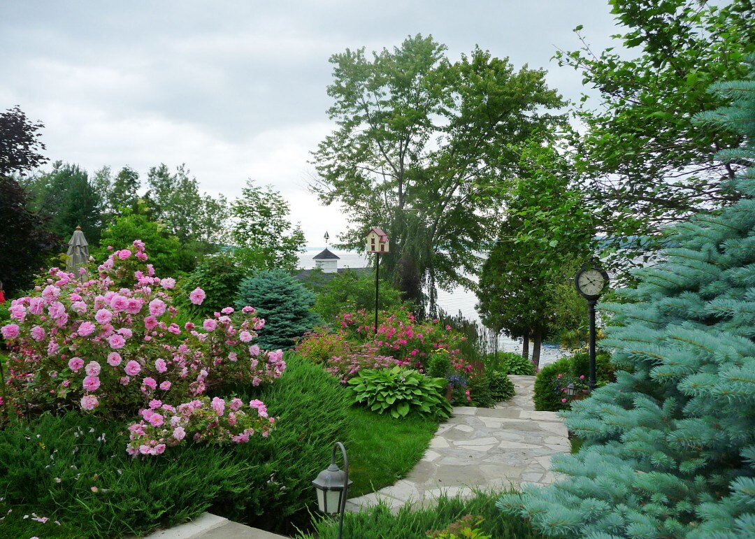 HOW TO CREATE A DREAM WATERFRONT LANDSCAPE